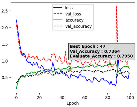 Workout Classification Using a Convolutional Neural Network in Ensemble Learning