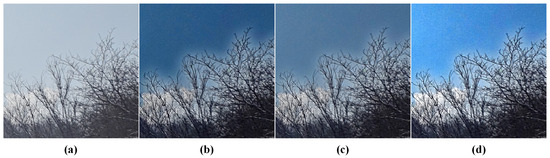 Atmospheric Light Estimation Using Polarization Degree Gradient for ...
