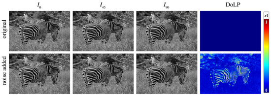 Sensors | Free Full-Text | Low-Light Sparse Polarization Demosaicing ...