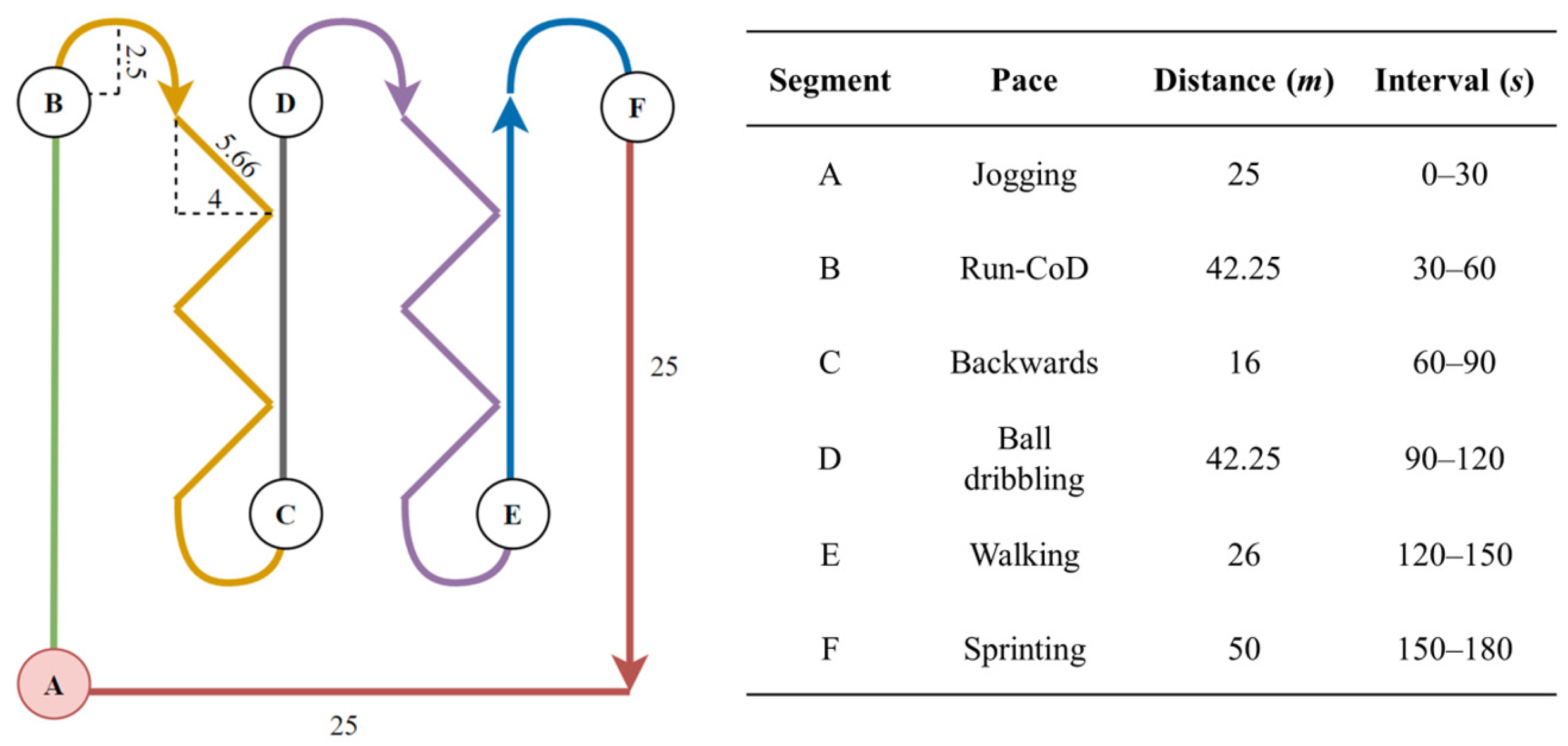 Validation of Step Detection and Distance Calculation Algorithms for Soccer Performance Monitoring