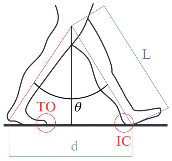 Validation of Step Detection and Distance Calculation Algorithms for Soccer Performance Monitoring