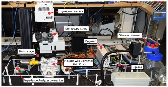 Computer-Vision- and Deep-Learning-Based Determination of Flow Regimes, Void Fraction, and ...