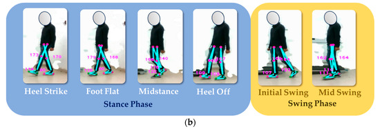 Development of a Low-Cost Markerless Optical Motion Capture System for Gait Analysis and ...