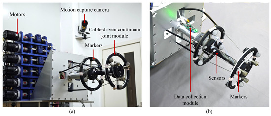 Shape Sensing and Kinematic Control of a Cable-Driven Continuum Robot ...