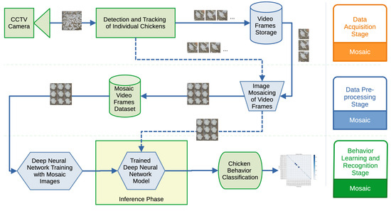A Video Mosaicing-Based Sensing Method for Chicken Behavior Recognition ...