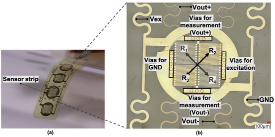 A Flexible Double-Sided Curvature Sensor Array for Use in Soft Robotics