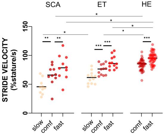 Gait Variability as a Potential Motor Marker of Cerebellar Disease ...