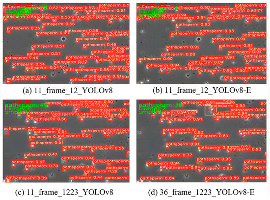 Sperm YOLOv8E-TrackEVD: A Novel Approach for Sperm Detection and Tracking