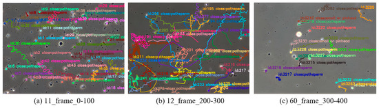 Sensors | Free Full-Text | Sperm YOLOv8E-TrackEVD: A Novel Approach for Sperm Detection and Tracking