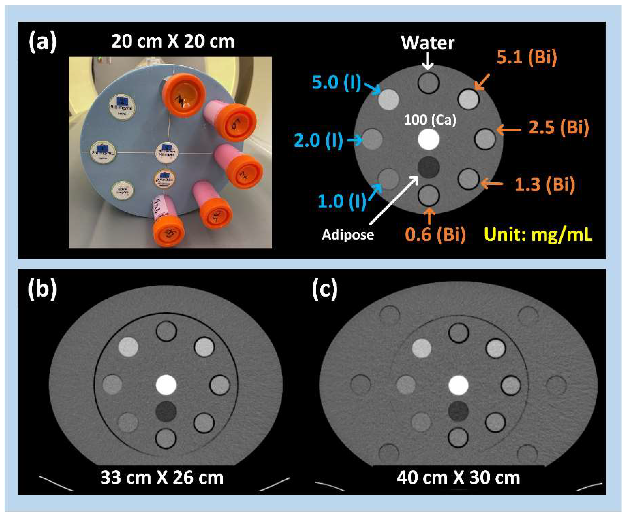 Visual and Quantitative Evaluation of Low-Concentration Bismuth in Dual ...
