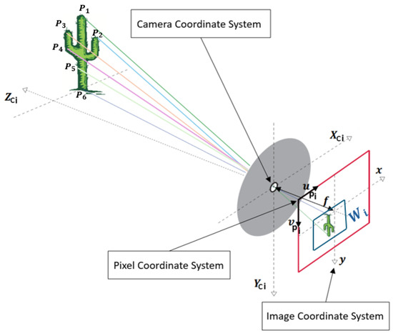 A Sensor Fusion Approach to Observe Quadrotor Velocity