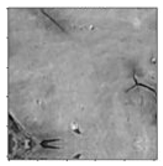 Autonomous Image-Based Corrosion Detection in Steel Structures Using ...