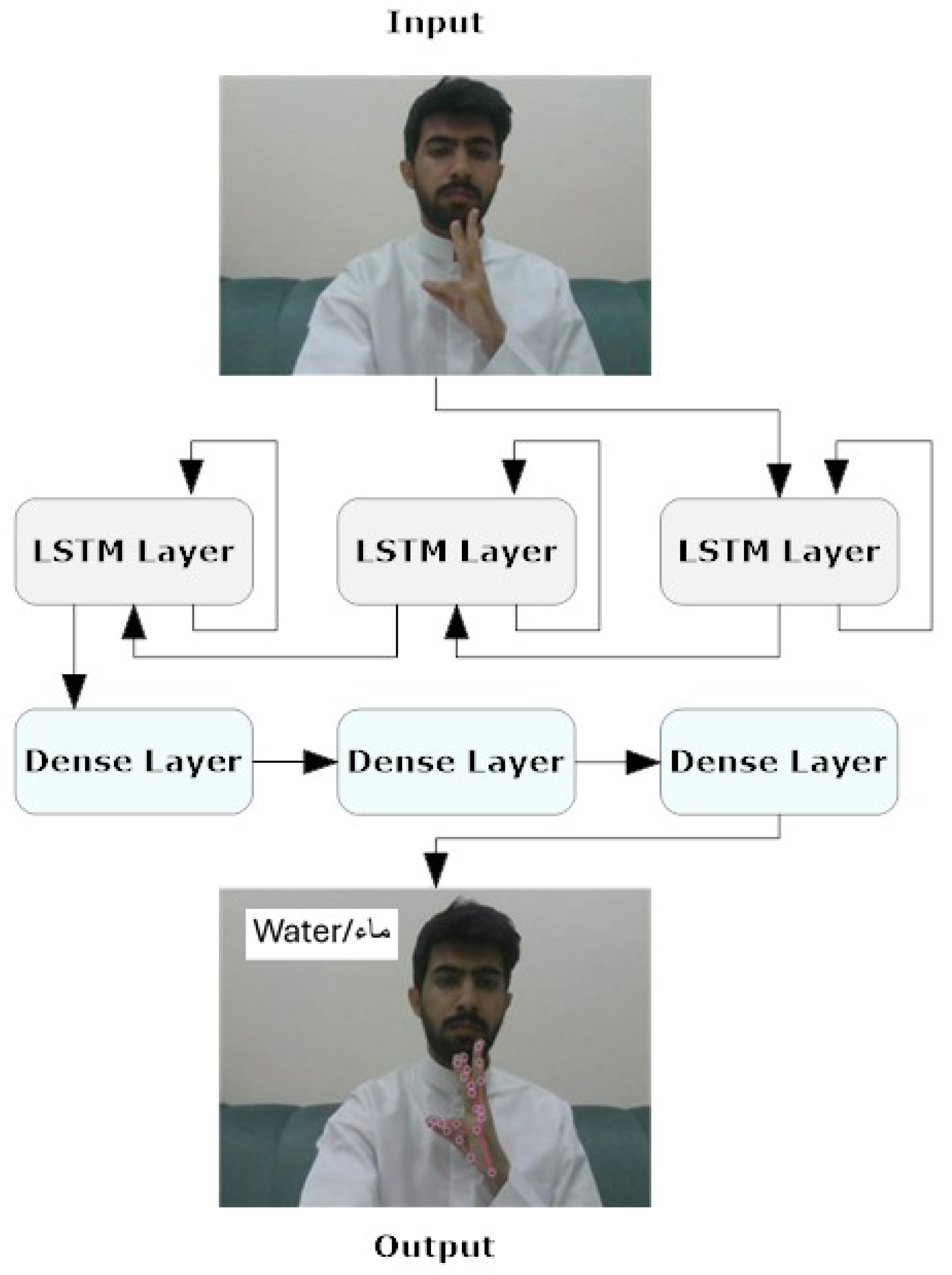 Real-Time Arabic Sign Language Recognition Using a Hybrid Deep Learning ...
