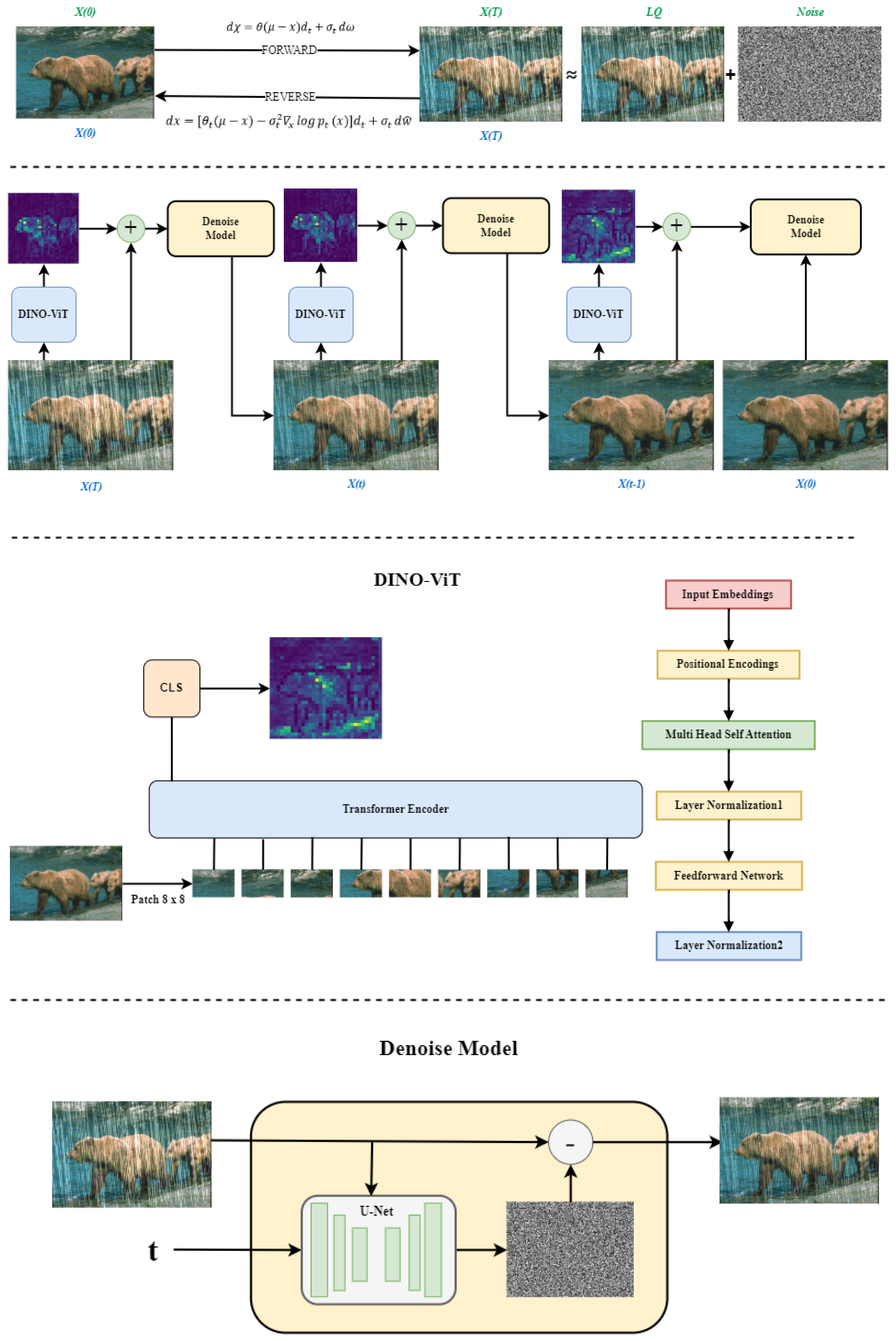 Importing Diffusion and Re-Designed Backward Process for Image De-Raining