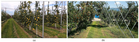 3D Camera and Single-Point Laser Sensor Integration for Apple ...