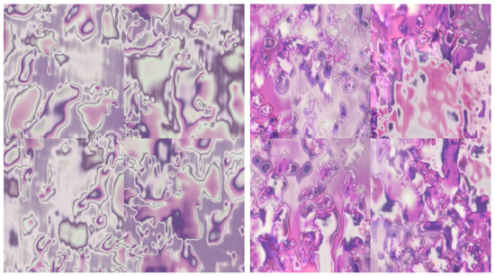 Sensors | Free Full-Text | Enhancing Histopathological Image Classification Performance through ...