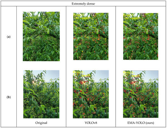 Sensors | Free Full-Text | EMA-YOLO: A Novel Target-Detection Algorithm for Immature Yellow ...