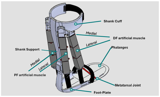 Sensors | Free Full-Text | DE-AFO: A Robotic Ankle Foot Orthosis for ...
