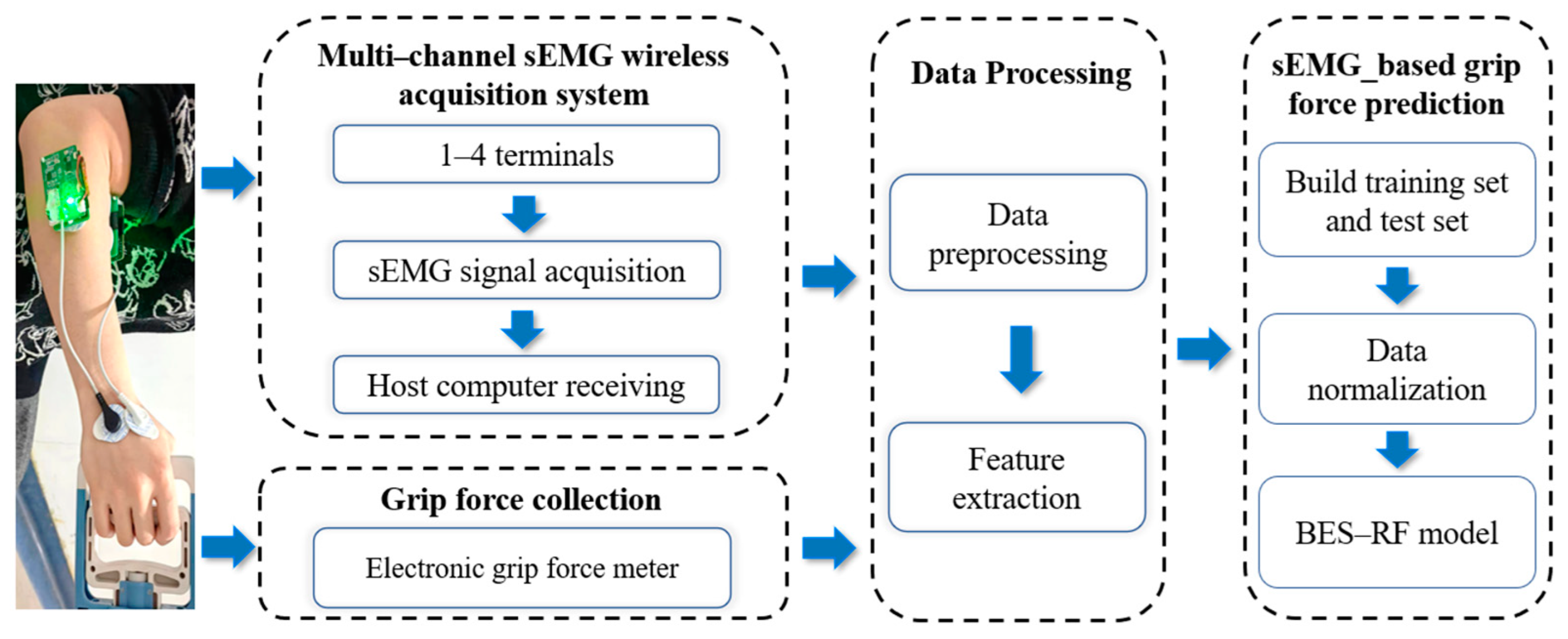 Sensors | Free Full-Text | A Surface Electromyography (sEMG) System Applied for Grip Force ...