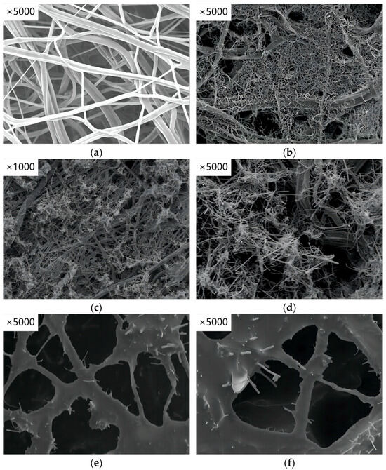Preparation of CNT/CNF/PDMS/TPU Nanofiber-Based Conductive Films Based ...