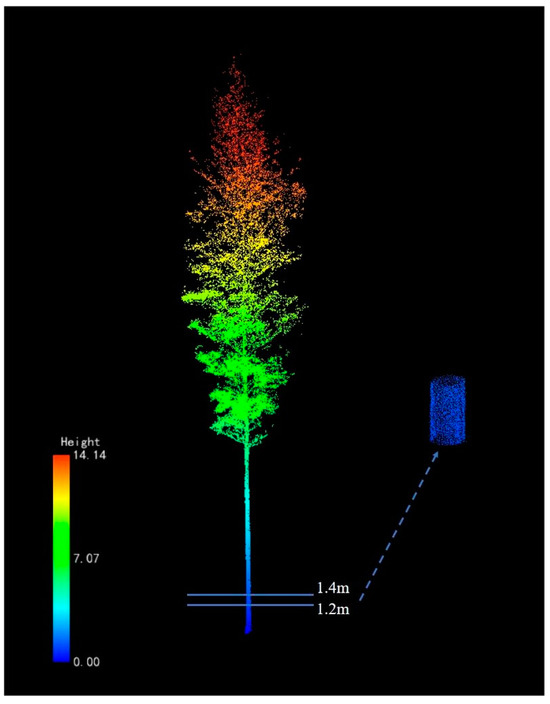 Extraction of Moso Bamboo Parameters Based on the Combination of ALS and TLS Point Cloud Data