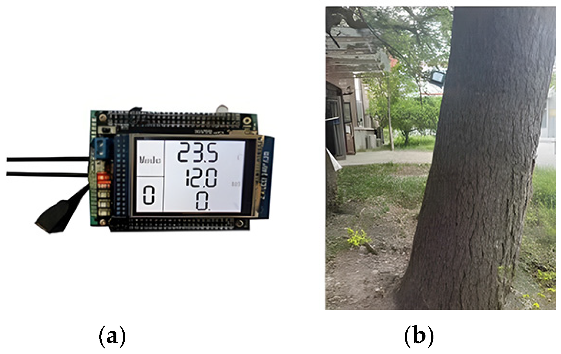 Pinpointing Moisture: The Capacitive Detection for Standing Tree Health