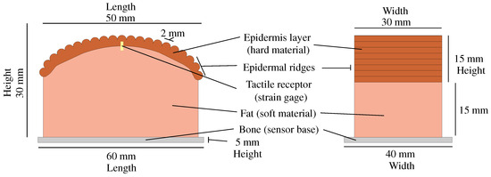Healing Function for Abraded Fingerprint Ridges in Tactile Texture Sensors
