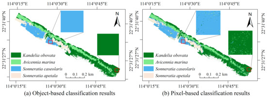 Sensors | Free Full-Text | Mangrove Species Classification from Unmanned Aerial Vehicle ...