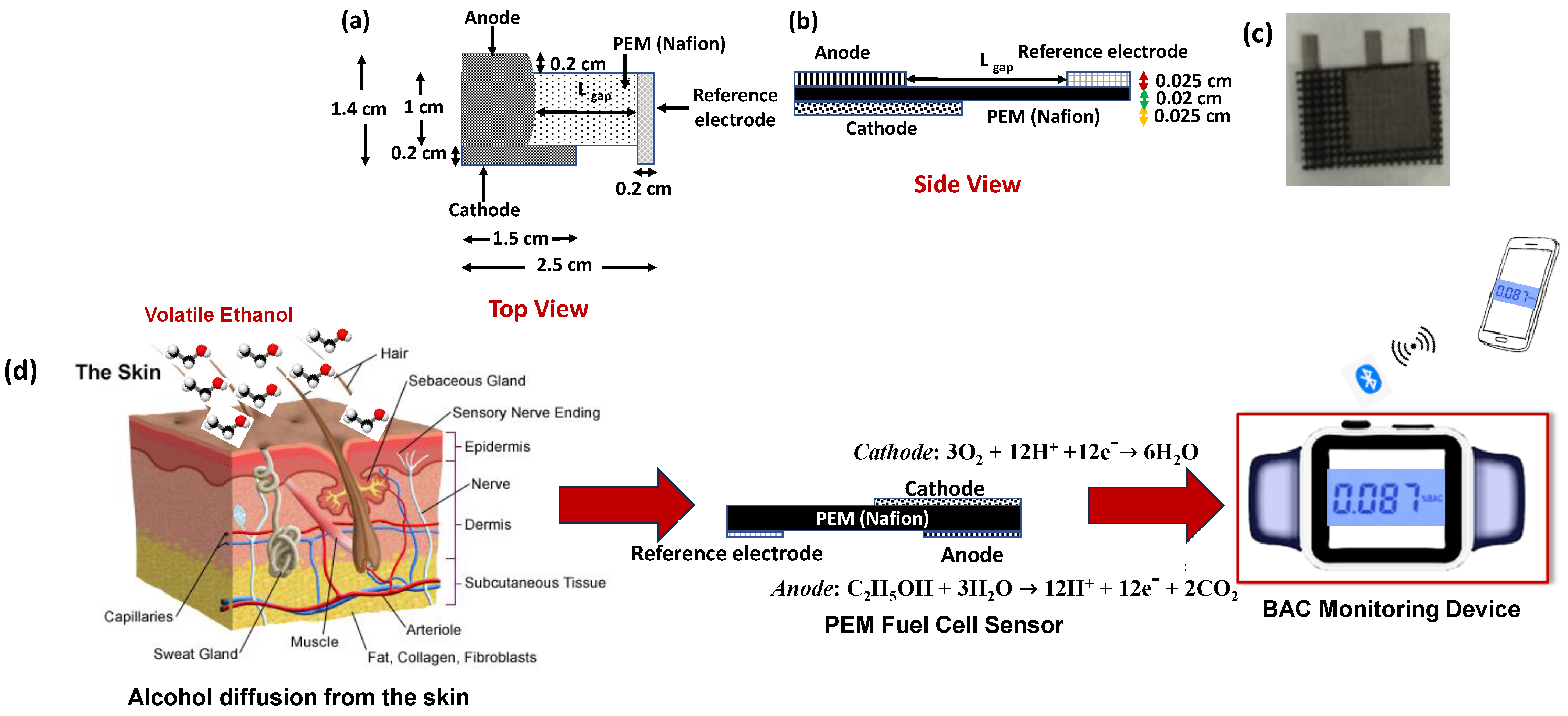 Wearable Alcohol Monitoring Device for the Data-Driven Transcutaneous ...