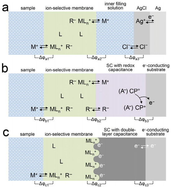 Recent Developments and Challenges in Solid-Contact Ion-Selective ...