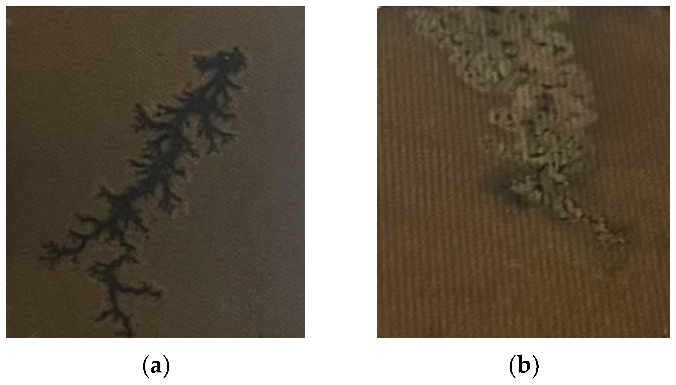 Transformer Discharge Carbon-Trace Detection Based on Improved MSRCR Image-Enhancement Algorithm ...
