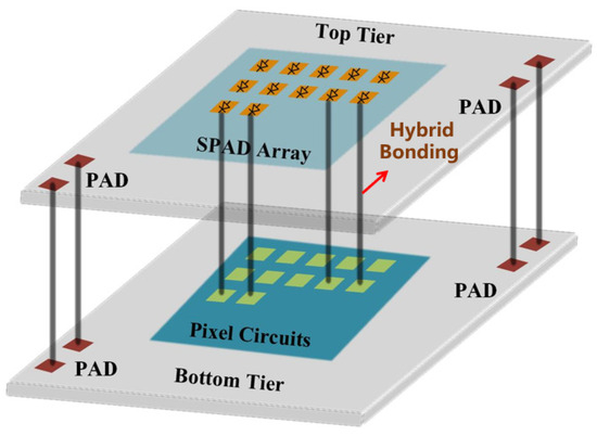 A 64 × 128 3D-Stacked SPAD Image Sensor for Low-Light Imaging