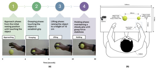 Sensors | Free Full-Text | Glove-Net: Enhancing Grasp Classification with Multisensory Data and ...
