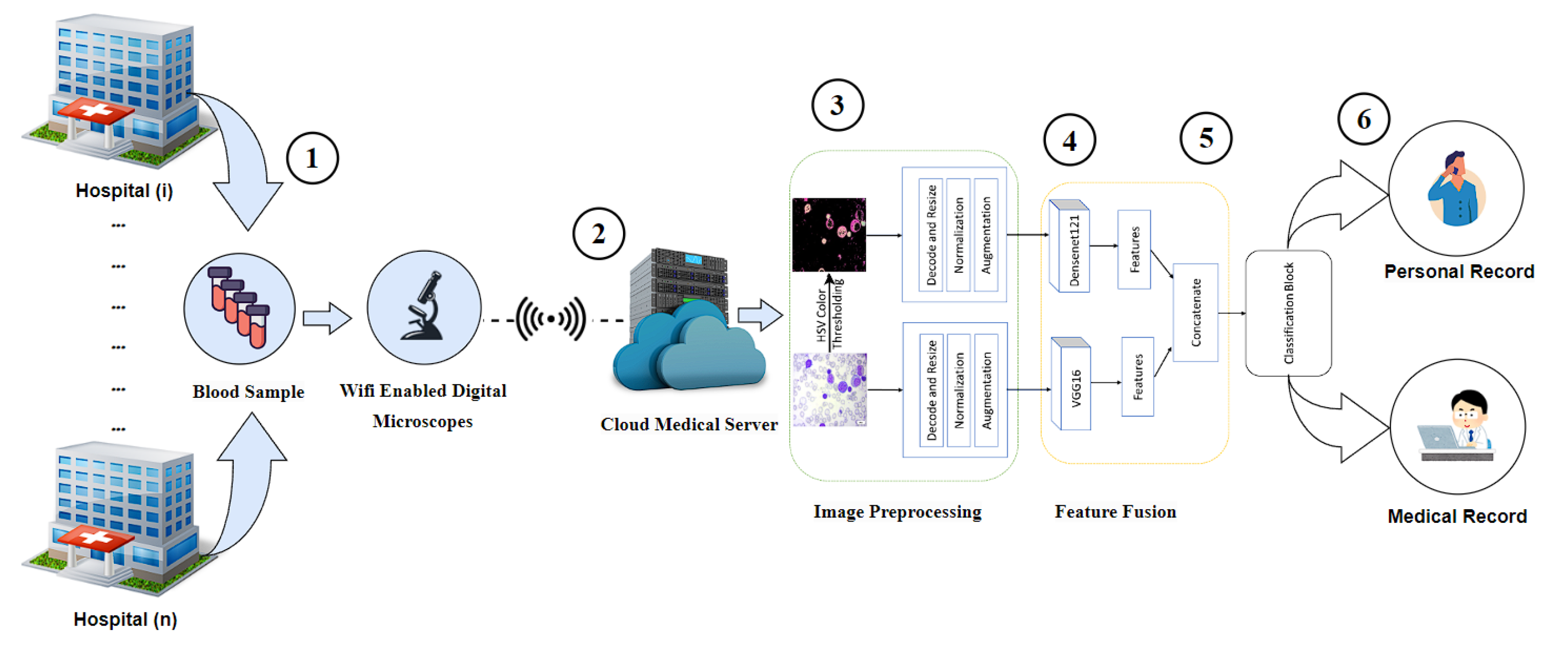 Sensors | Free Full-Text | Utilizing Deep Feature Fusion for Automatic Leukemia Classification ...