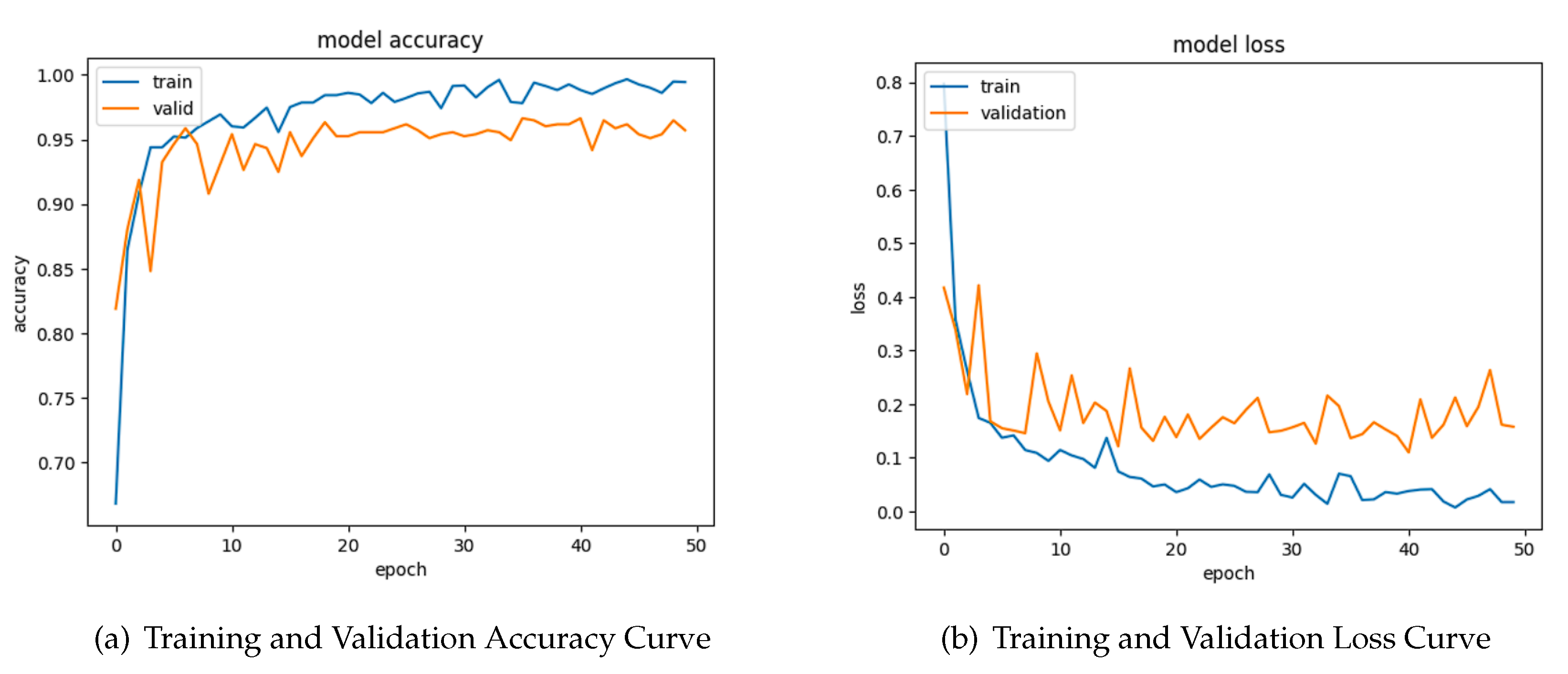 Sensors | Free Full-Text | Utilizing Deep Feature Fusion for Automatic Leukemia Classification ...
