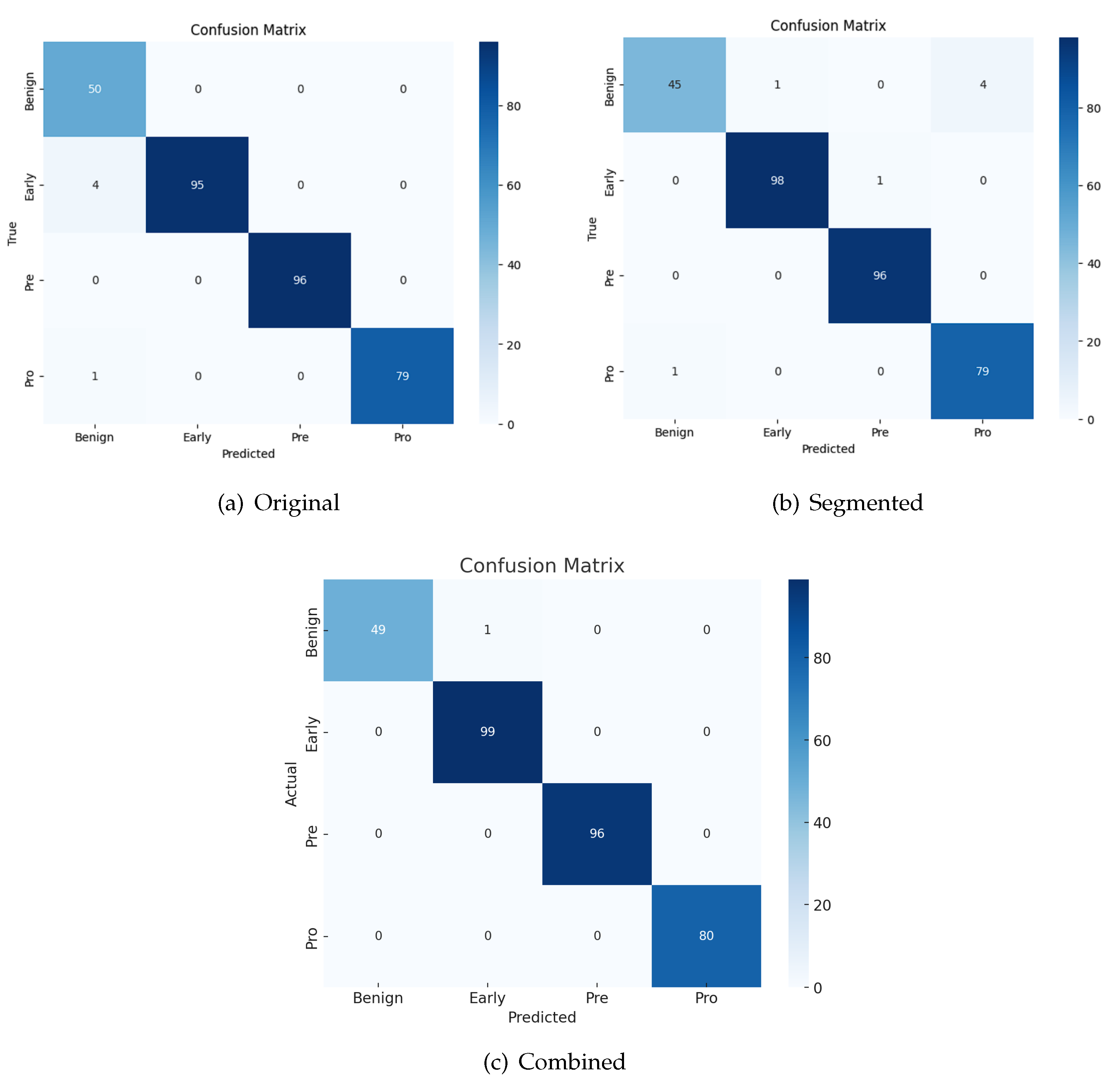Sensors | Free Full-Text | Utilizing Deep Feature Fusion for Automatic Leukemia Classification ...