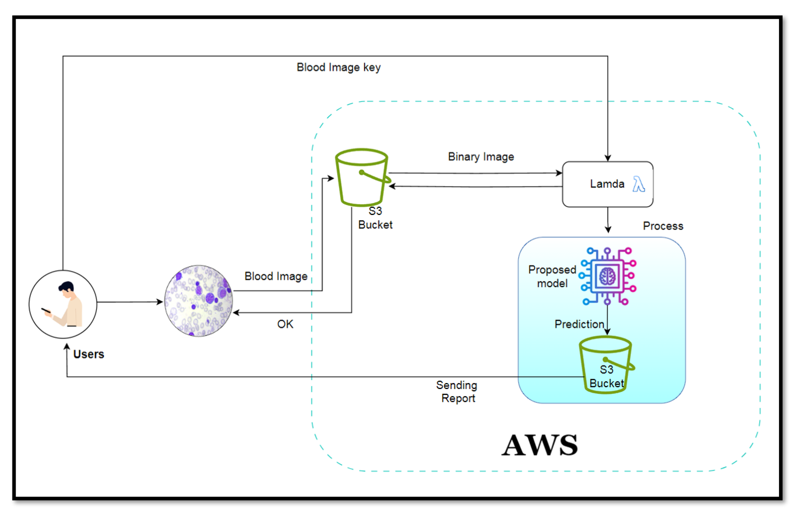 Sensors | Free Full-Text | Utilizing Deep Feature Fusion for Automatic Leukemia Classification ...
