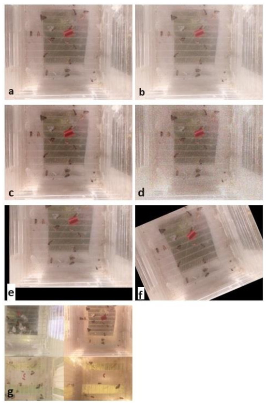 Using Data Augmentation to Improve the Generalization Capability of an Object Detector on Remote ...