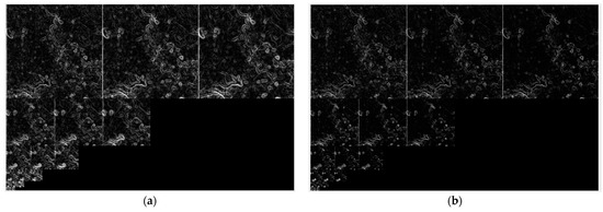 SAR Image Registration: The Combination of Nonlinear Diffusion ...