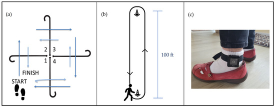Physical Functioning, Physical Activity, and Variability in Gait ...