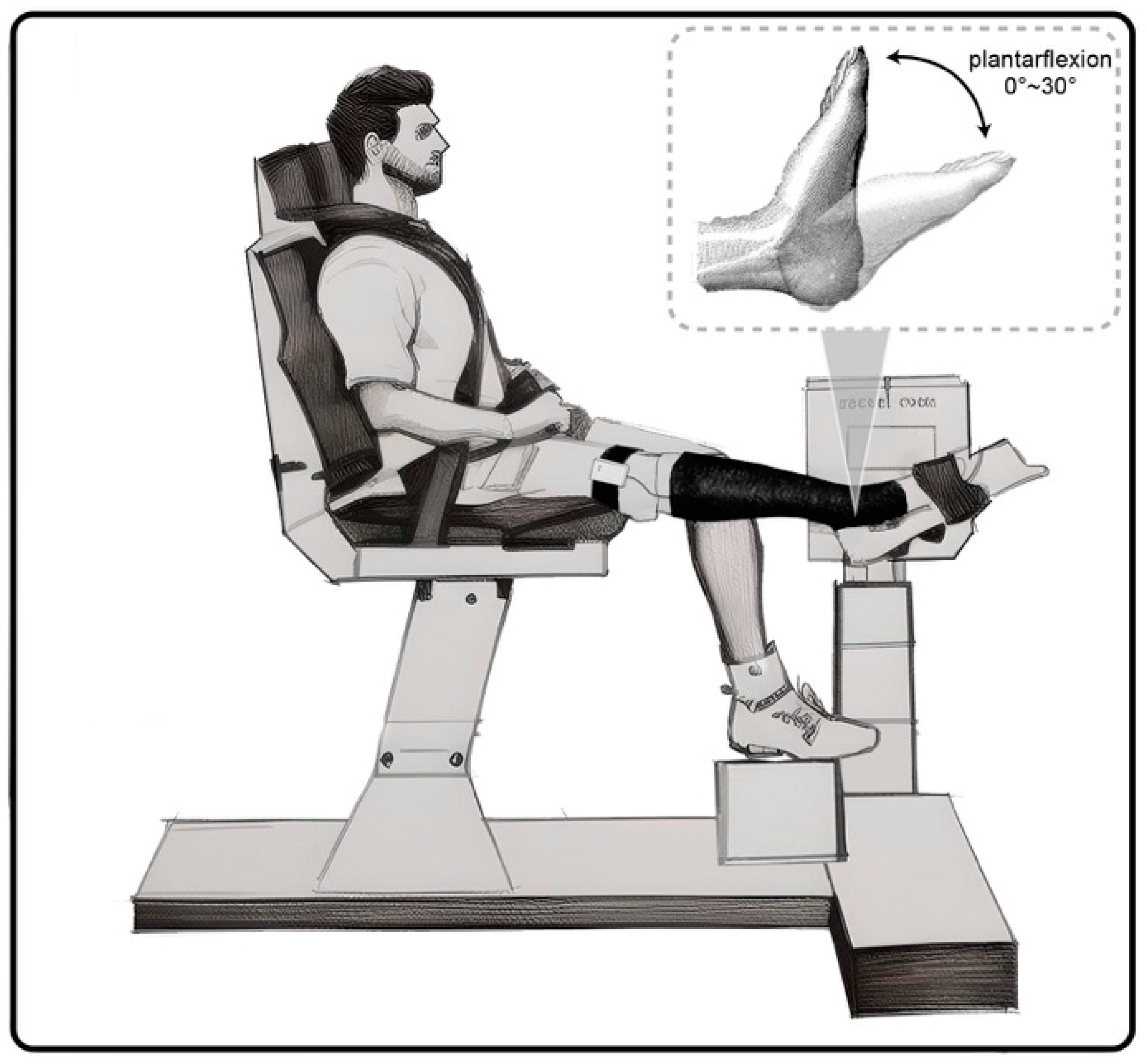 Integrated Wearable System for Monitoring Skeletal Muscle Force of ...