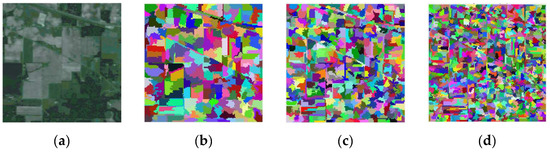 A Dual-Branch Fusion of a Graph Convolutional Network and a ...