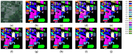 A Dual-Branch Fusion of a Graph Convolutional Network and a Convolutional Neural Network for ...