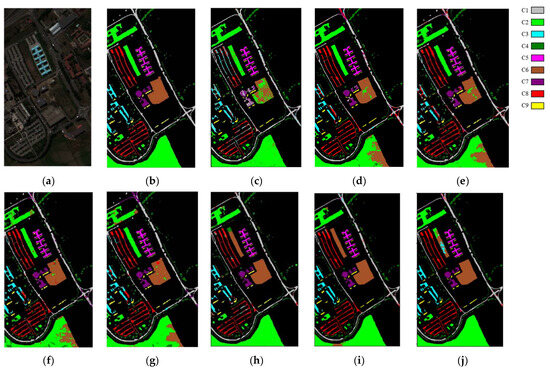 A Dual-Branch Fusion of a Graph Convolutional Network and a Convolutional Neural Network for ...