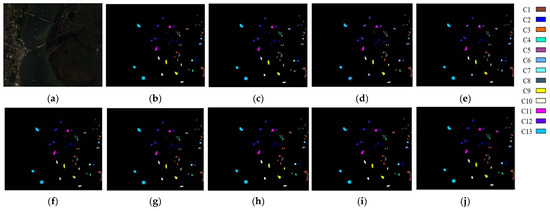 A Dual-Branch Fusion of a Graph Convolutional Network and a Convolutional Neural Network for ...