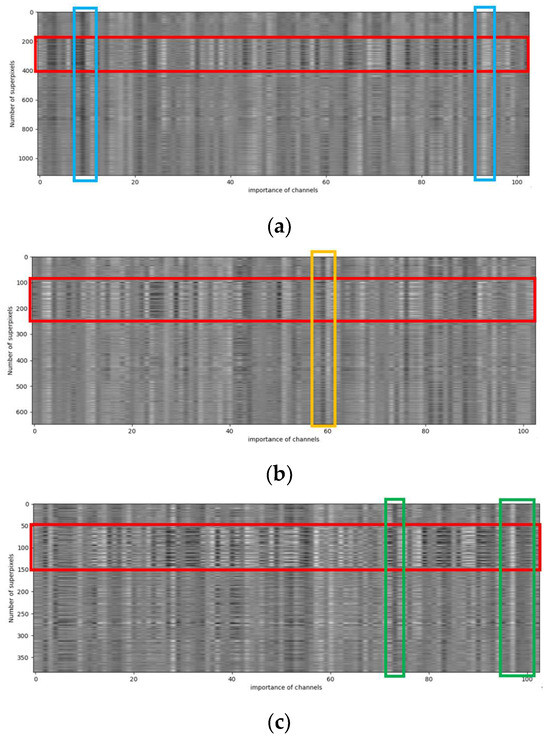 A Dual-Branch Fusion of a Graph Convolutional Network and a Convolutional Neural Network for ...
