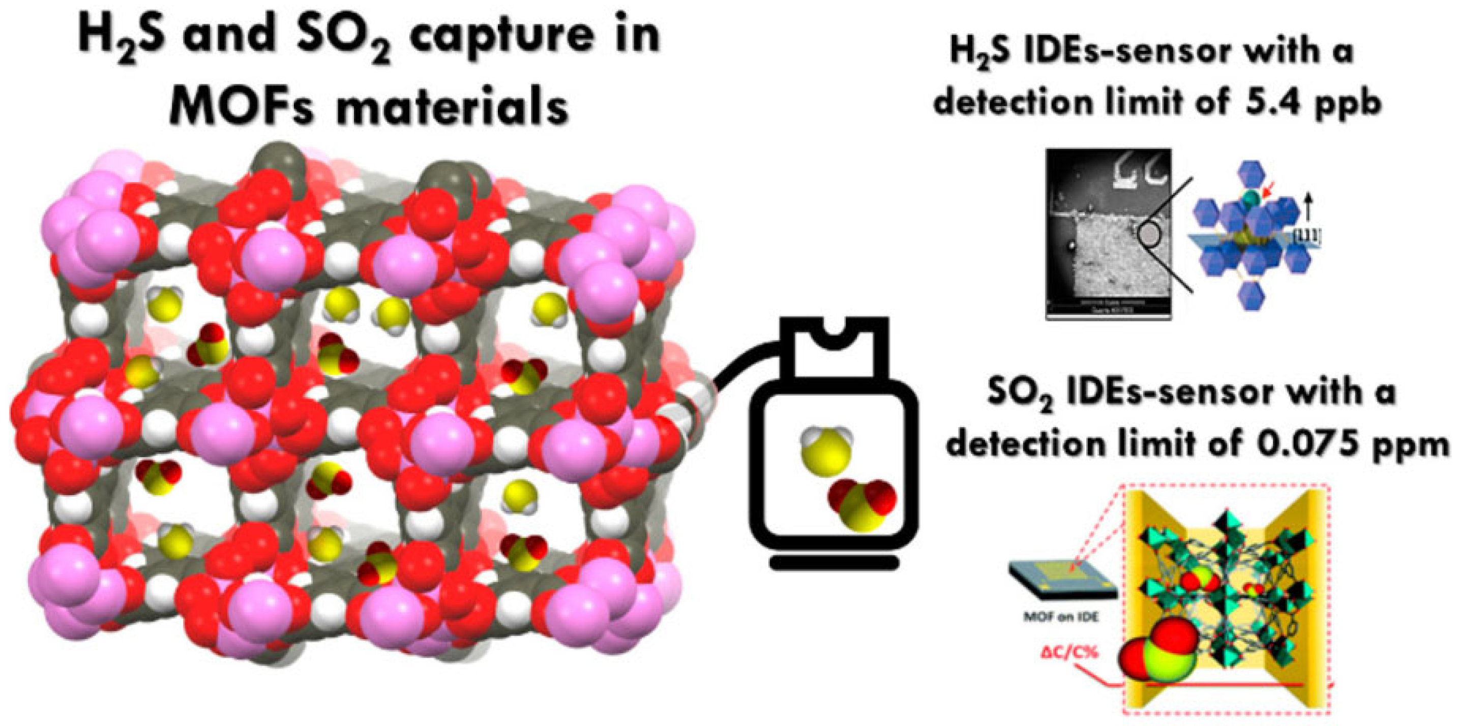 Electronic Noses: From Gas-Sensitive Components and Practical ...