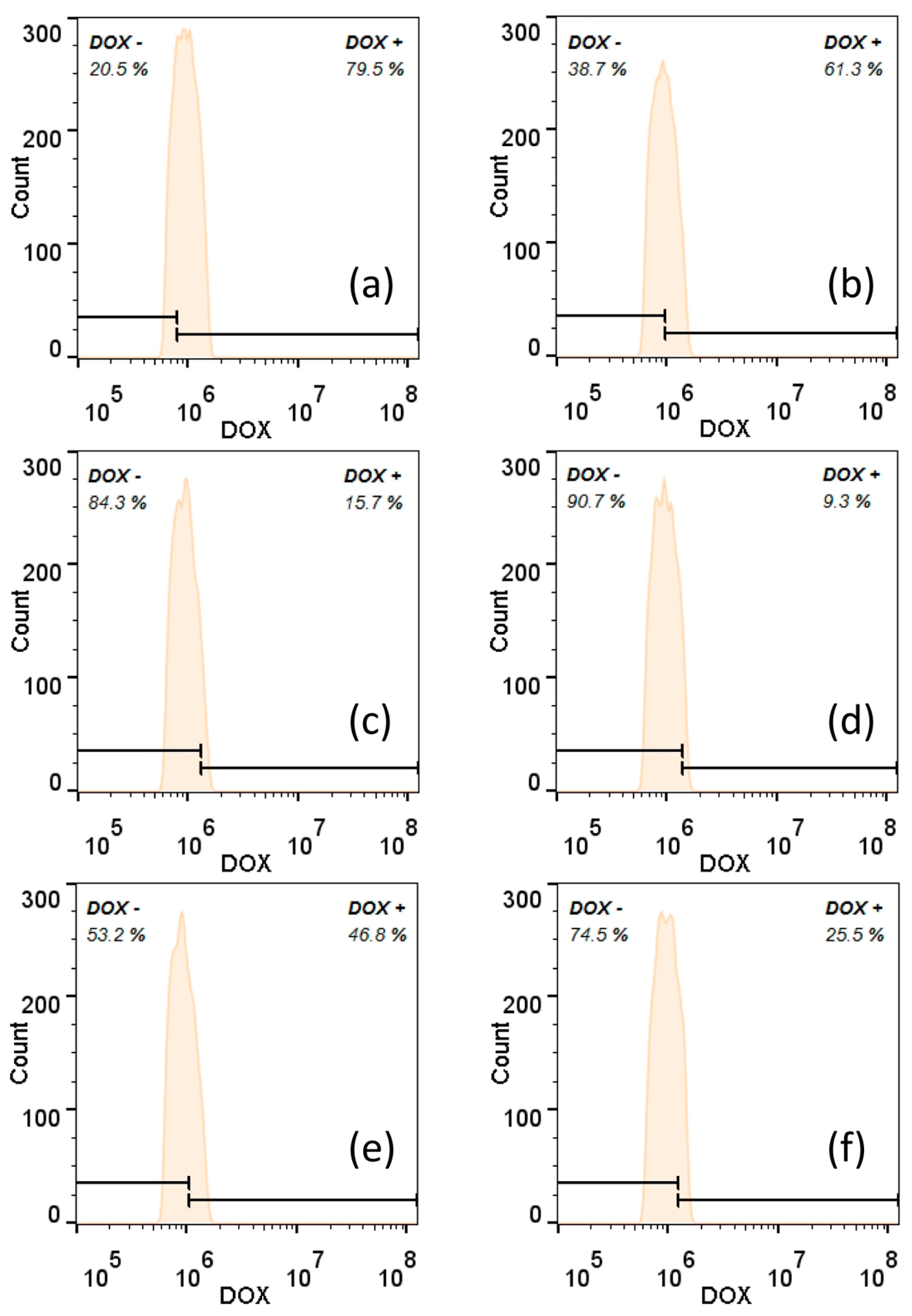 Selective Cellular Uptake and Druggability Efficacy through ...