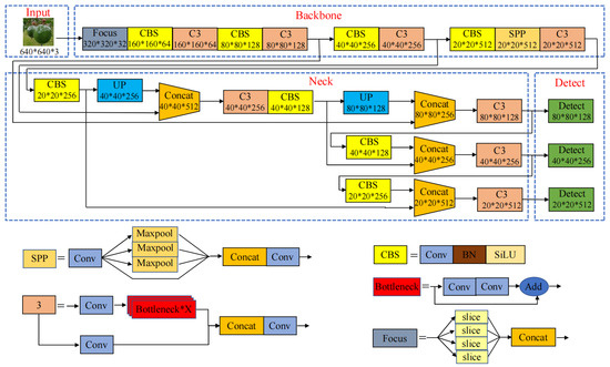 Sensors | Free Full-Text | A Lightweight and High-Precision Passion ...