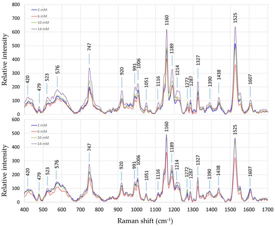 Probing Biological Nitrogen Fixation in Legumes Using Raman Spectroscopy